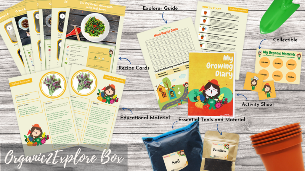 Organic 2 Explore Box – Zenxin Organic Park